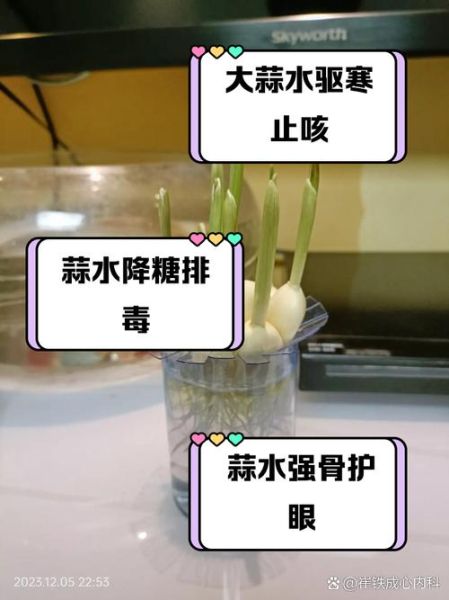 大蒜水治咳嗽的做法_大蒜水止咳效果好吗-第2张图片-山城妙识 大蒜水治咳嗽的做法_大蒜水止咳效果好吗-第2张图片-山城妙识