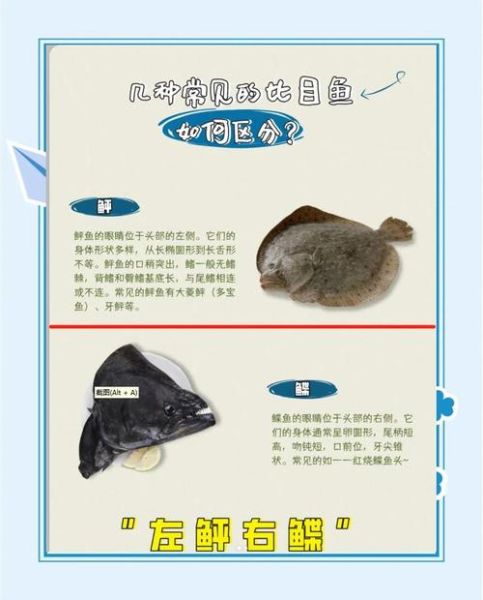 清蒸鲽鱼怎么做_清蒸鲽鱼蒸几分钟才鲜嫩-第3张图片-山城妙识