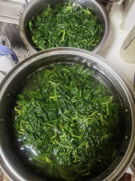 苦菜怎么做好吃_苦菜的家常做法大全-第2张图片-山城妙识 苦菜怎么做好吃_苦菜的家常做法大全-第2张图片-山城妙识