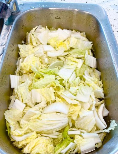 韩国泡菜怎么做才正宗_正宗韩国泡菜腌制方法-第2张图片-山城妙识