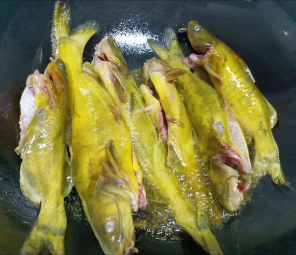 黄辣丁炖豆腐怎么做_黄辣丁炖豆腐需要焯水吗-第3张图片-山城妙识