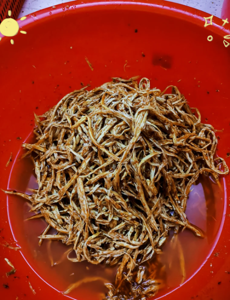 腐竹怎么泡发_腐竹的家常做法大全-第2张图片-山城妙识