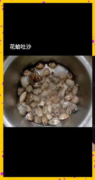 花蛤怎么吐沙_花蛤家常做法-第1张图片-山城妙识