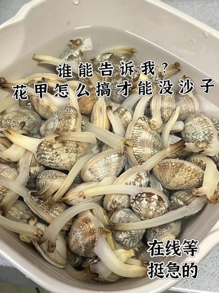 花甲怎么清洗_花甲最简单的做法-第1张图片-山城妙识