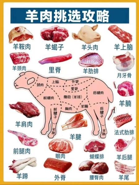 羊肉怎么做好吃_羊肉做法大全-第2张图片-山城妙识