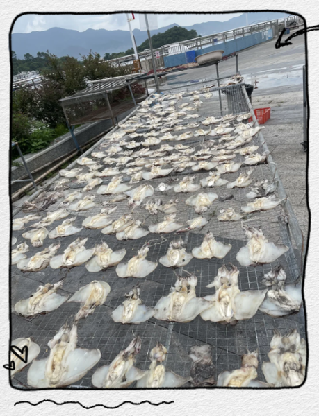 鱼干怎么晒_家常鱼干制作方法-第1张图片-山城妙识