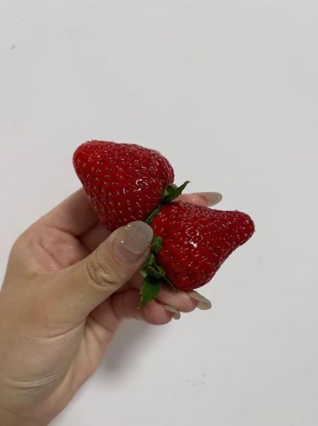 鸽子天麻汤的做法_鸽子天麻汤的功效与禁忌-第3张图片-山城妙识