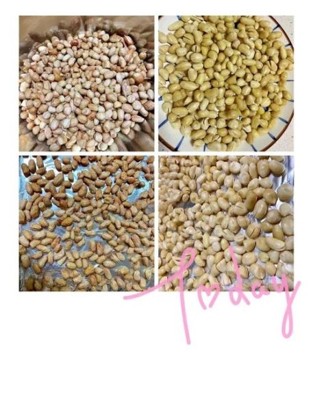 挂霜花生米怎么做_挂霜花生米为什么返潮-第2张图片-山城妙识