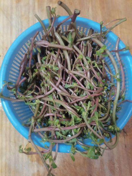 马齿苋煎饼怎么做_马齿苋煎饼的家常做法-第1张图片-山城妙识 马齿苋煎饼怎么做_马齿苋煎饼的家常做法-第1张图片-山城妙识