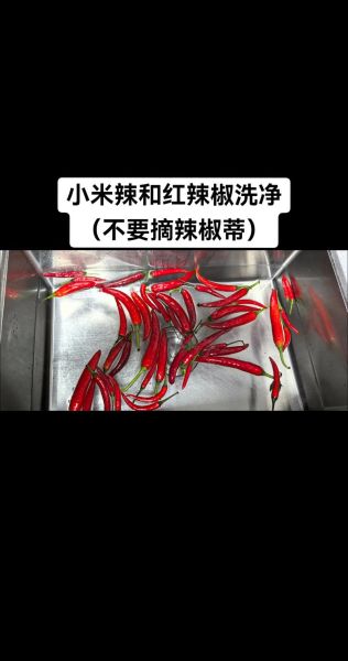 剁椒酱怎么做_剁椒酱的做法步骤-第2张图片-山城妙识 剁椒酱怎么做_剁椒酱的做法步骤-第2张图片-山城妙识