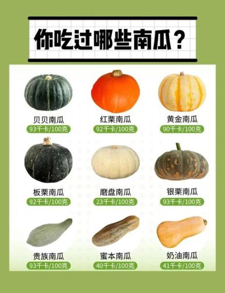 蒸贝贝小南瓜的做法_蒸多久才软糯香甜-第3张图片-山城妙识 蒸贝贝小南瓜的做法_蒸多久才软糯香甜-第3张图片-山城妙识