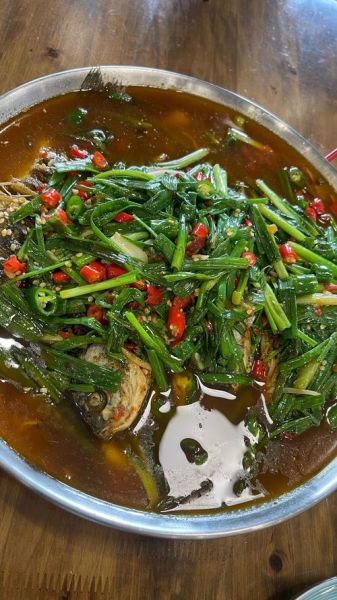 葱葱鲫鱼怎么做_鲫鱼葱香浓郁秘诀-第3张图片-山城妙识 葱葱鲫鱼怎么做_鲫鱼葱香浓郁秘诀-第3张图片-山城妙识