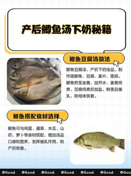 月子鲫鱼汤下奶的做法_鲫鱼汤怎么做下奶-第1张图片-山城妙识 月子鲫鱼汤下奶的做法_鲫鱼汤怎么做下奶-第1张图片-山城妙识