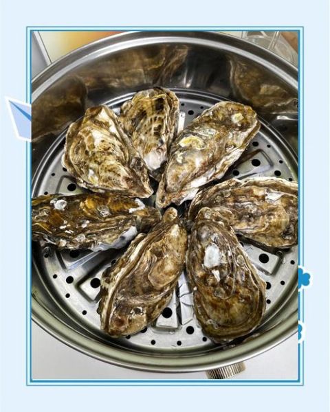生蚝怎么做好吃_清蒸生蚝需要几分钟-第1张图片-山城妙识