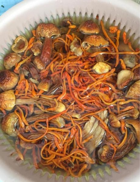 松茸炖鸡怎么做_松茸炖鸡需要焯水吗-第2张图片-山城妙识 松茸炖鸡怎么做_松茸炖鸡需要焯水吗-第2张图片-山城妙识