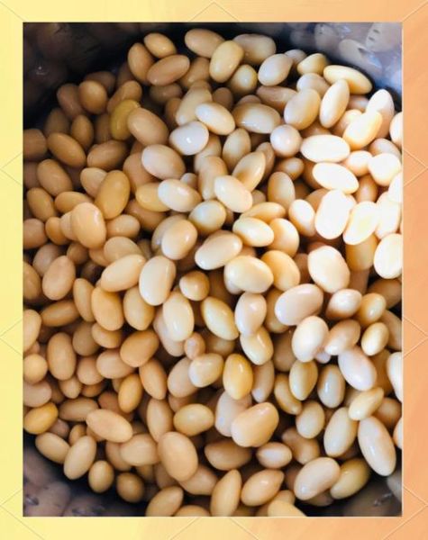 纳豆怎么做_纳豆的做法步骤-第3张图片-山城妙识 纳豆怎么做_纳豆的做法步骤-第3张图片-山城妙识