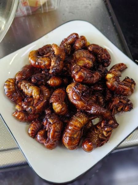 炸知了猴怎么做好吃_炸知了猴的做法步骤-第1张图片-山城妙识