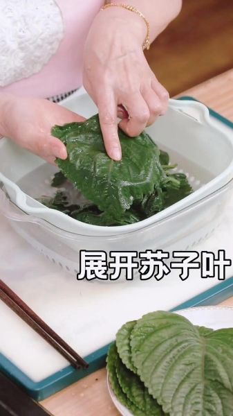 苏子叶怎么腌制好吃_苏子叶做法大全-第1张图片-山城妙识 苏子叶怎么腌制好吃_苏子叶做法大全-第1张图片-山城妙识
