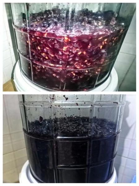 自酿葡萄酒的做法_自酿葡萄酒需要哪些材料-第1张图片-山城妙识