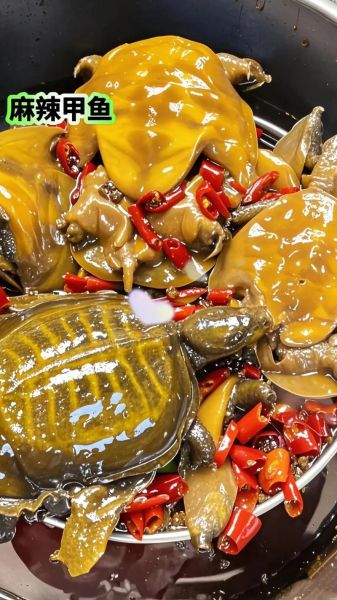 麻辣甲鱼怎么做_家常麻辣甲鱼做法-第1张图片-山城妙识