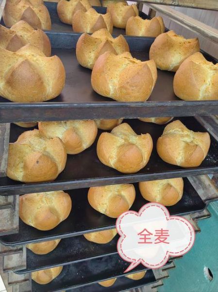 烤饼的做法和配方_烤饼怎么做才酥脆-第3张图片-山城妙识 烤饼的做法和配方_烤饼怎么做才酥脆-第3张图片-山城妙识