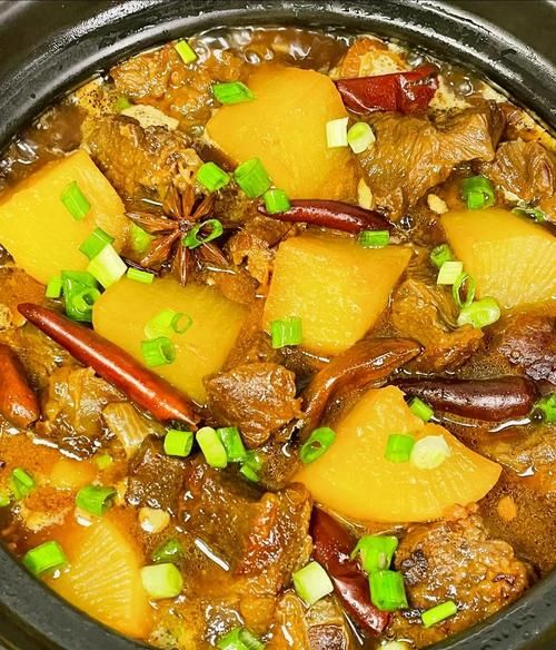牛肉炖萝卜怎么做_牛肉炖萝卜的家常做法-第2张图片-山城妙识
