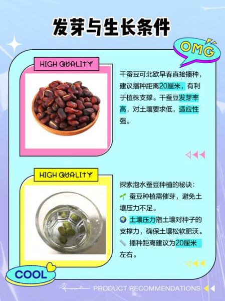 干蚕豆怎么泡发_干蚕豆的家常做法-第1张图片-山城妙识