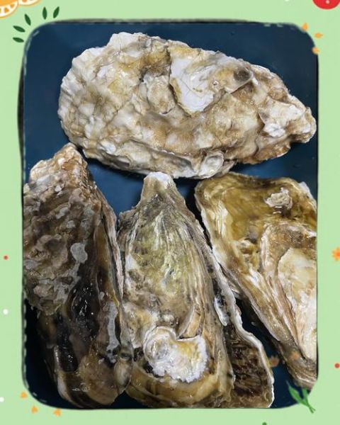 蒜蓉生蚝怎么做_蒜蓉生蚝蒸多久-第3张图片-山城妙识 蒜蓉生蚝怎么做_蒜蓉生蚝蒸多久-第3张图片-山城妙识