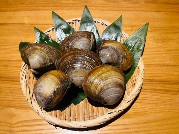 北极贝怎么做好吃_北极贝家常做法大全-第1张图片-山城妙识 北极贝怎么做好吃_北极贝家常做法大全-第1张图片-山城妙识