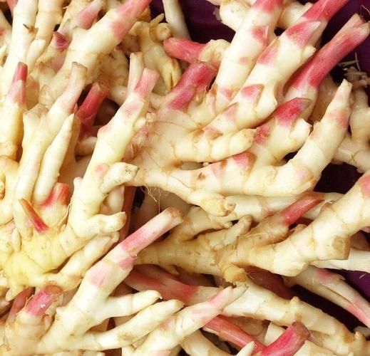 生抽泡生姜的正确做法_生姜用生抽泡多久可以吃-第1张图片-山城妙识