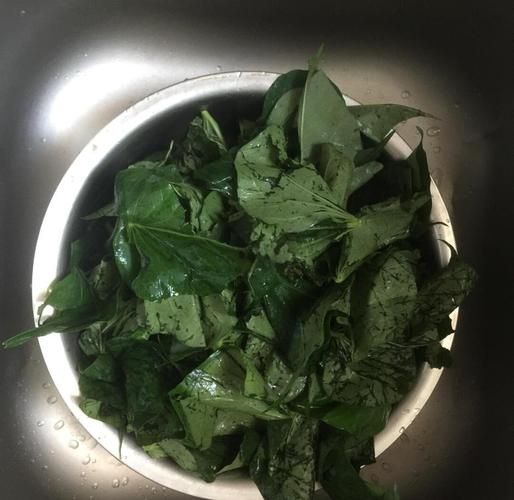 红薯叶窝窝头怎么做_红薯叶窝窝头做法窍门-第1张图片-山城妙识