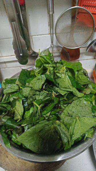 红薯叶窝窝头怎么做_红薯叶窝窝头做法窍门-第3张图片-山城妙识