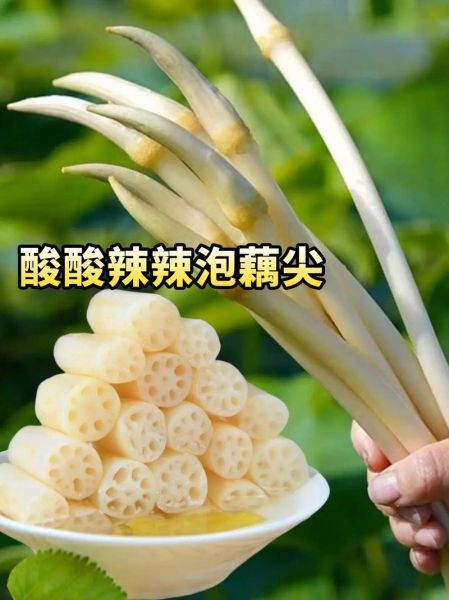 藕尖怎么炒好吃_藕尖的做法大全-第3张图片-山城妙识 藕尖怎么炒好吃_藕尖的做法大全-第3张图片-山城妙识