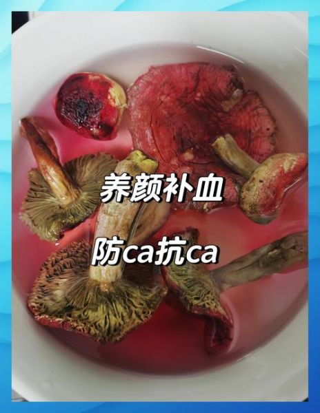 红菇煲汤做法大全_红菇煲汤怎么做好喝-第1张图片-山城妙识 红菇煲汤做法大全_红菇煲汤怎么做好喝-第1张图片-山城妙识