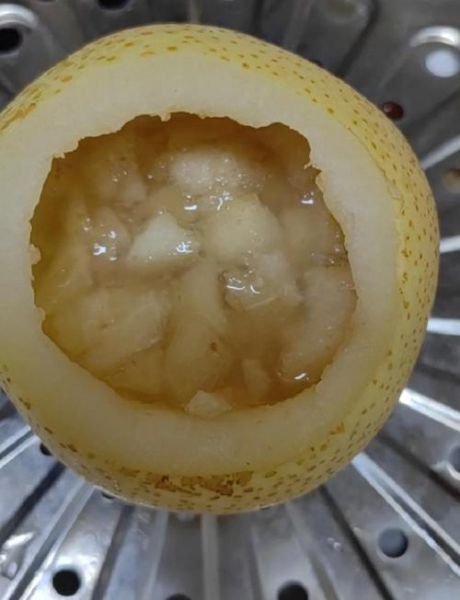 炖梨止咳的做法_川贝炖梨怎么做-第1张图片-山城妙识