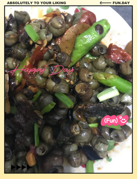 田螺怎么清洗干净_田螺做法家常步骤-第2张图片-山城妙识