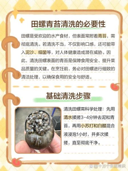 田螺怎么清洗干净_田螺做法家常步骤-第3张图片-山城妙识