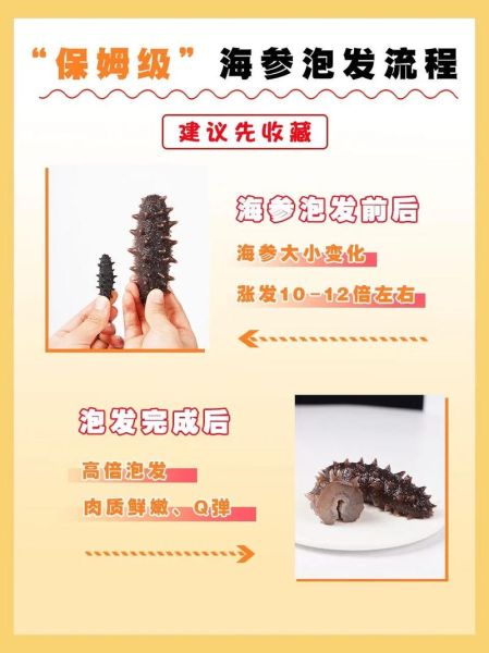 红烧海参怎么做_海参泡发技巧-第3张图片-山城妙识