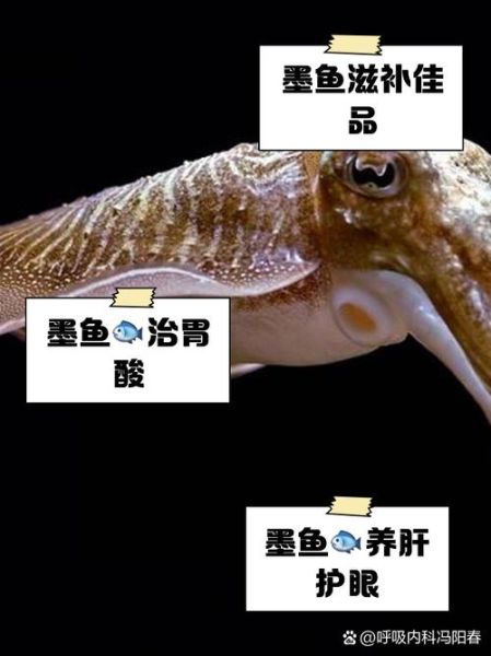 墨鱼怎么处理_墨鱼怎么清洗才干净-第3张图片-山城妙识 墨鱼怎么处理_墨鱼怎么清洗才干净-第3张图片-山城妙识