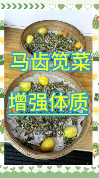 马齿苋蒸菜怎么做_马齿苋蒸菜需要焯水吗-第1张图片-山城妙识