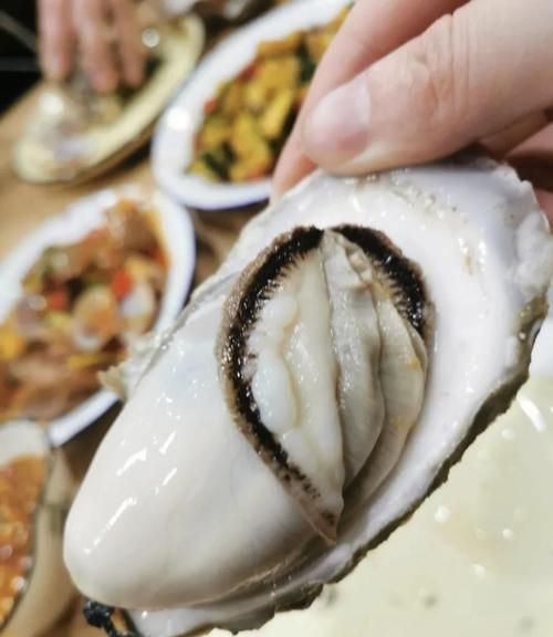 高压锅生蚝怎么开壳_高压锅生蚝蒸几分钟-第1张图片-山城妙识