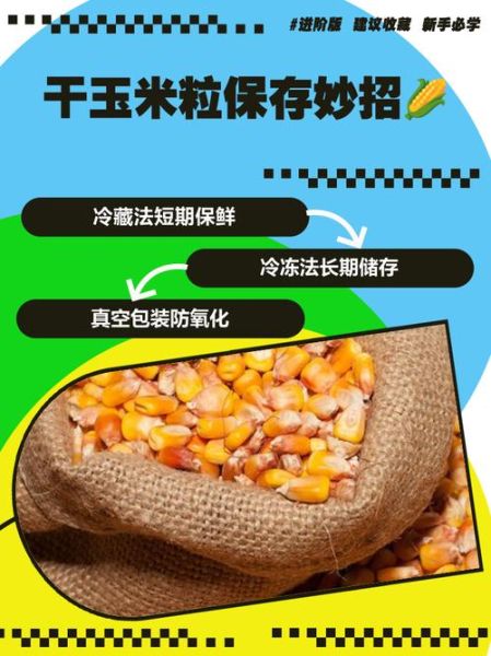 玉米干粮怎么做_玉米干粮保存多久-第1张图片-山城妙识