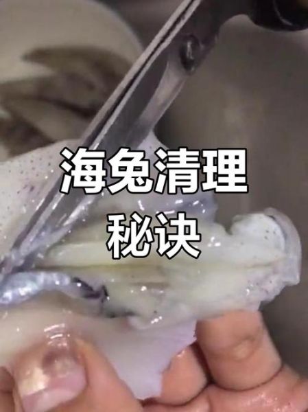海兔怎么清洗_海兔做法大全-第1张图片-山城妙识