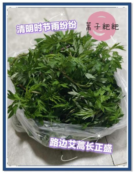 蒿子粑粑怎么做_蒿子粑粑的做法窍门-第2张图片-山城妙识