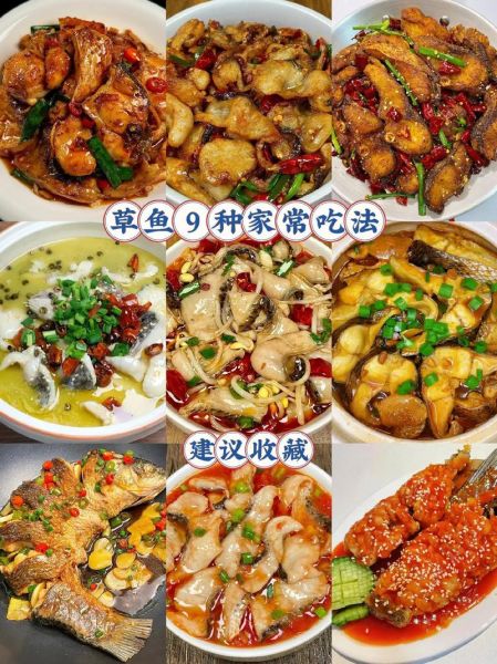 草鱼怎么做好吃_家常草鱼做法大全-第2张图片-山城妙识
