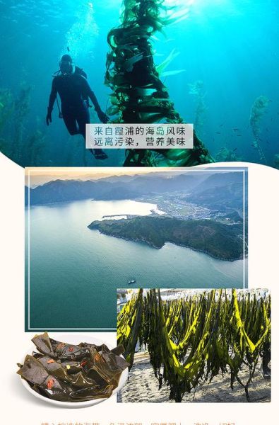 海带扣怎么做好吃_海带扣的做法大全-第1张图片-山城妙识