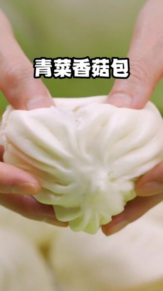 菜包子怎么和面_菜包子馅怎么调才鲜嫩多汁-第1张图片-山城妙识
