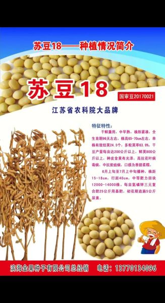 十八豆的家常做法大全_十八豆怎么做好吃-第2张图片-山城妙识