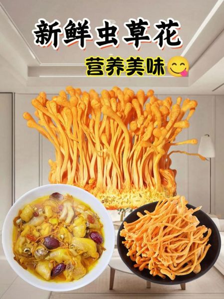 鲜虫草花怎么吃_鲜虫草花做法大全-第3张图片-山城妙识