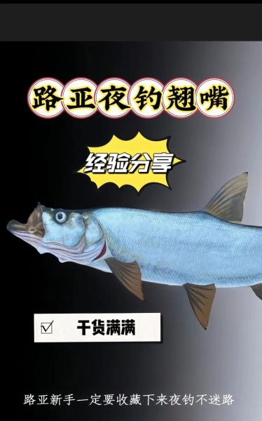 翘嘴鱼怎么钓_翘嘴鱼用什么饵最好-第2张图片-山城妙识